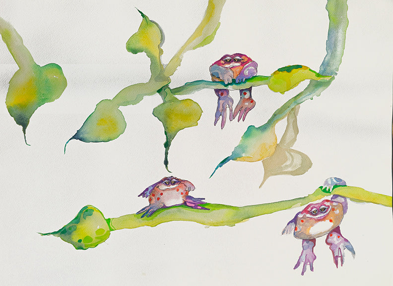 3 Three-toed Tree Toads – Nedobeck